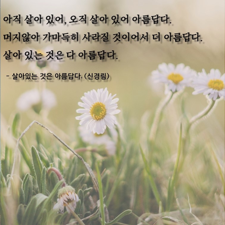 Hoseo University Library